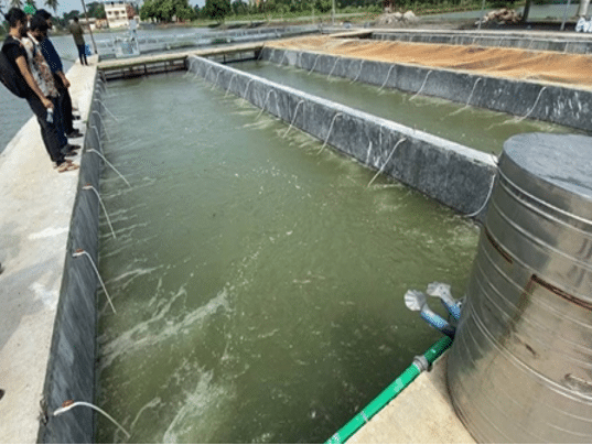 Incorporating Filter Species For Enhanced Economic Efficiency In In ...