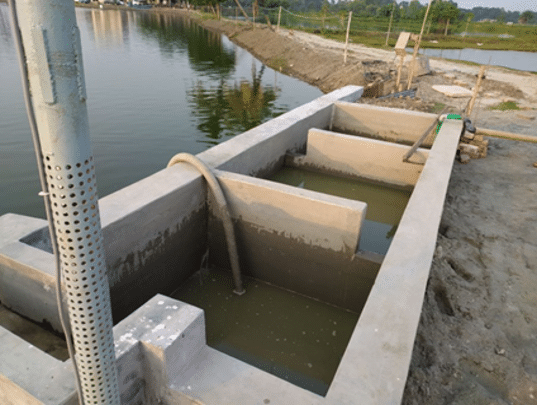 Incorporating Filter Species For Enhanced Economic Efficiency In In ...